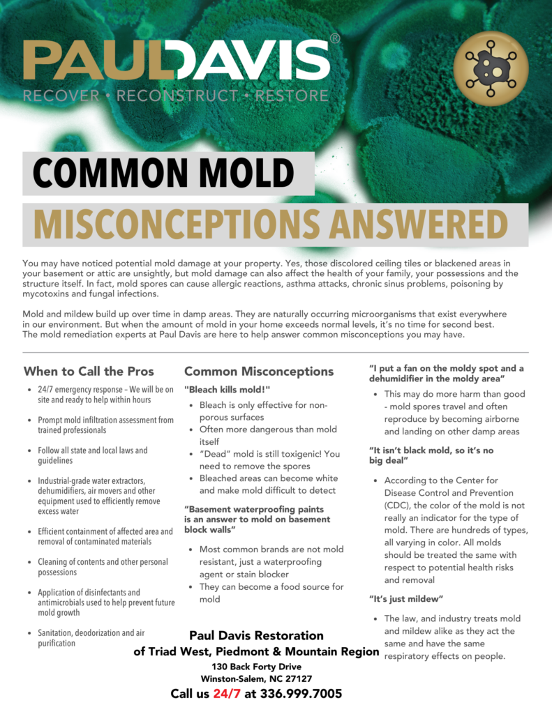 Black Mold Remediation | Triad-West, Piedmont & Mountain Region, NC